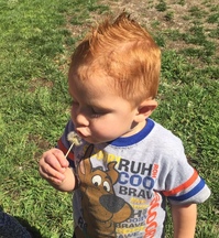 Tutor Time Child Care Learning Center | Paper Pinecone