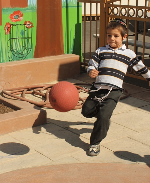 Torat Hayim Hebrew Academy | Paper Pinecone