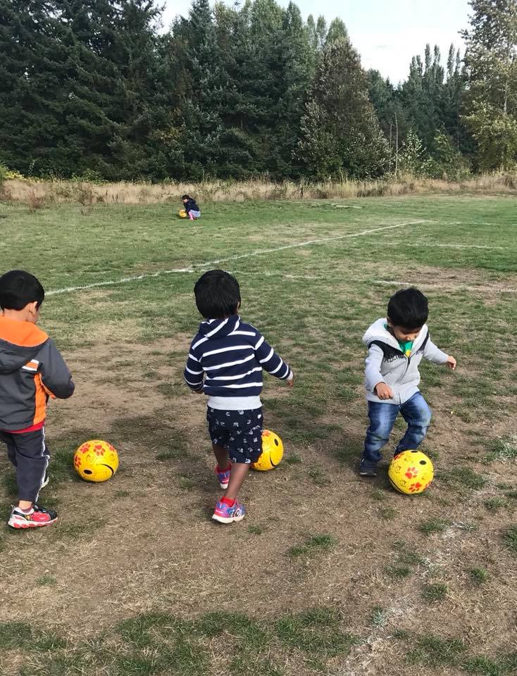 Park Ridge Preschool | Paper Pinecone