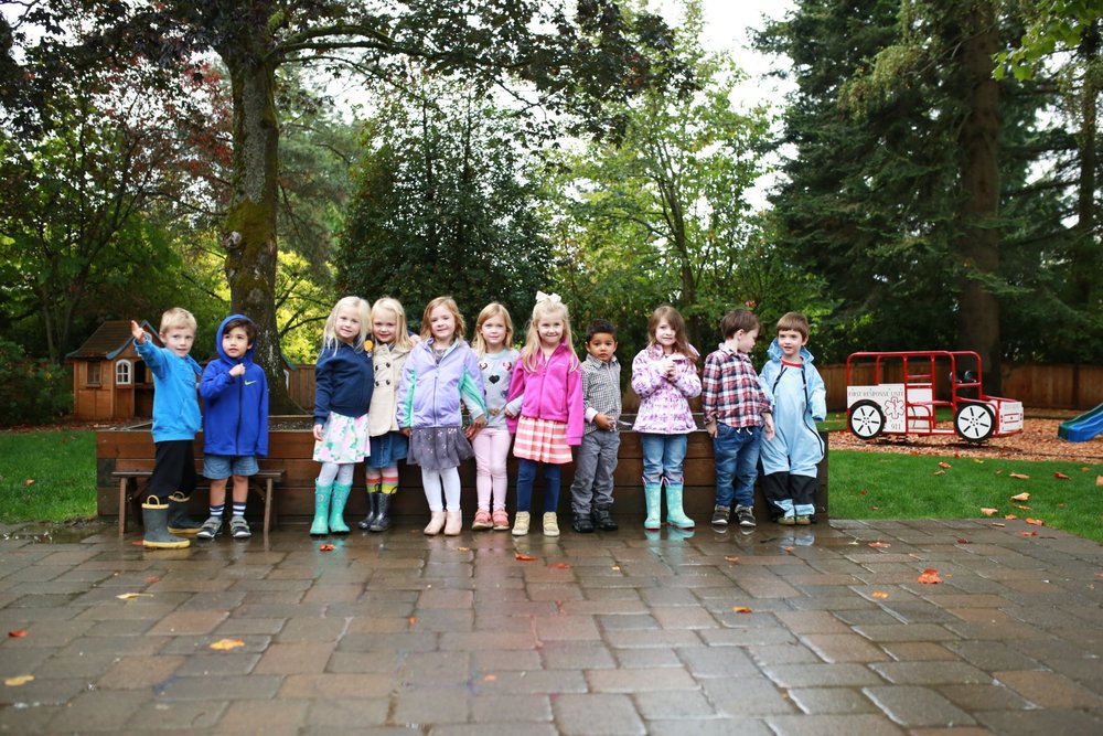 Pixie Hill | Paper Pinecone