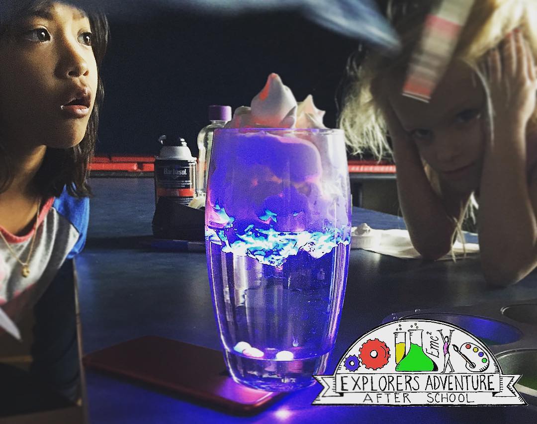 Explorers Adventure School | Paper Pinecone