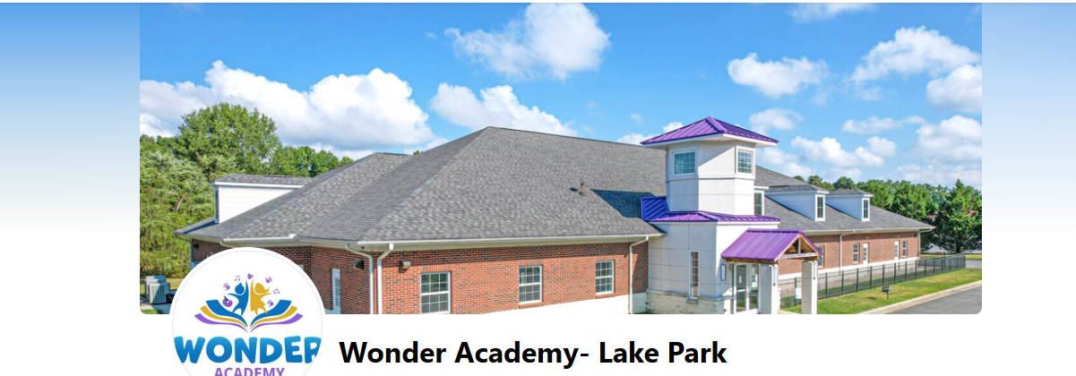 Wonder Academy | Paper Pinecone