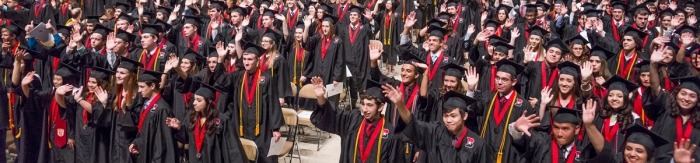 Williams Elementary AISD Third Base | Paper Pinecone