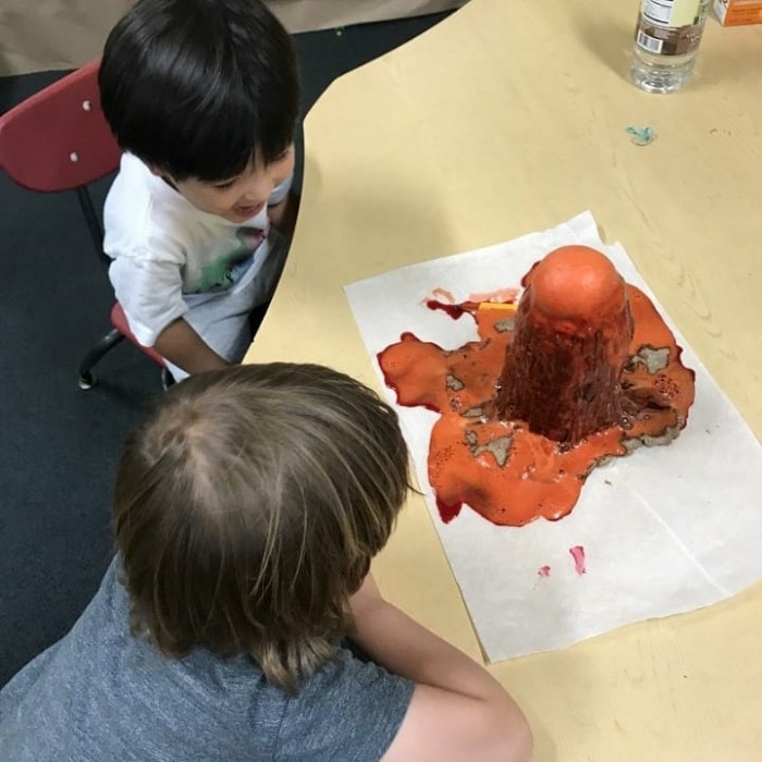 Ribet Academy | Paper Pinecone